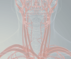 Carotid Artery Screening Test: Early Detection Scan for Stroke Prevention